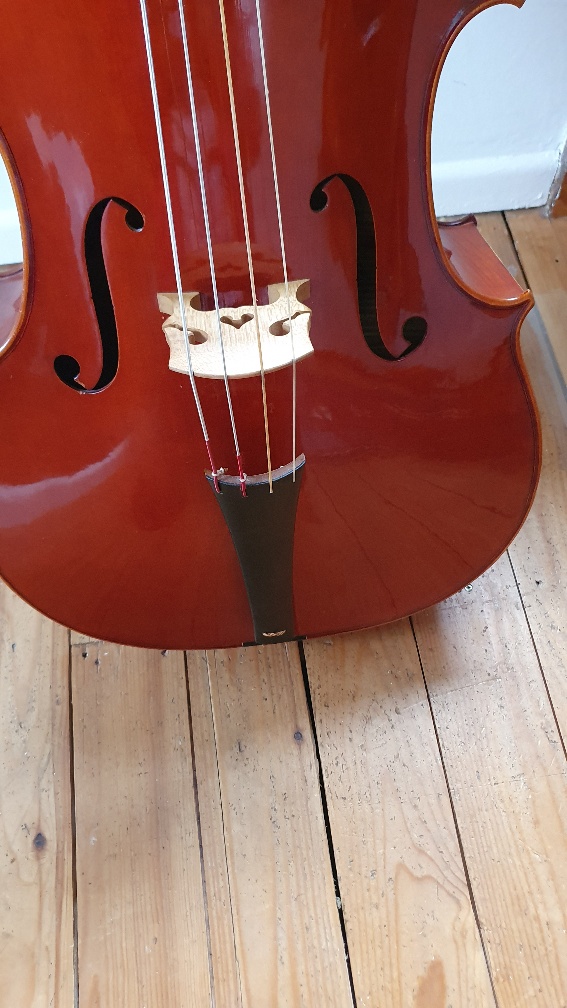 Rosie Lyon Cello 1 (4) – North West Early Music Forum